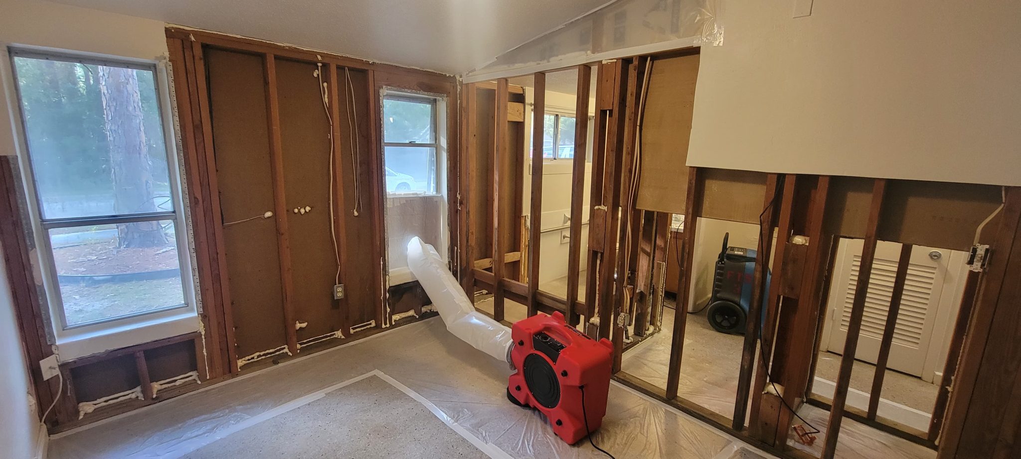 Mold Removal Gainesville Fl